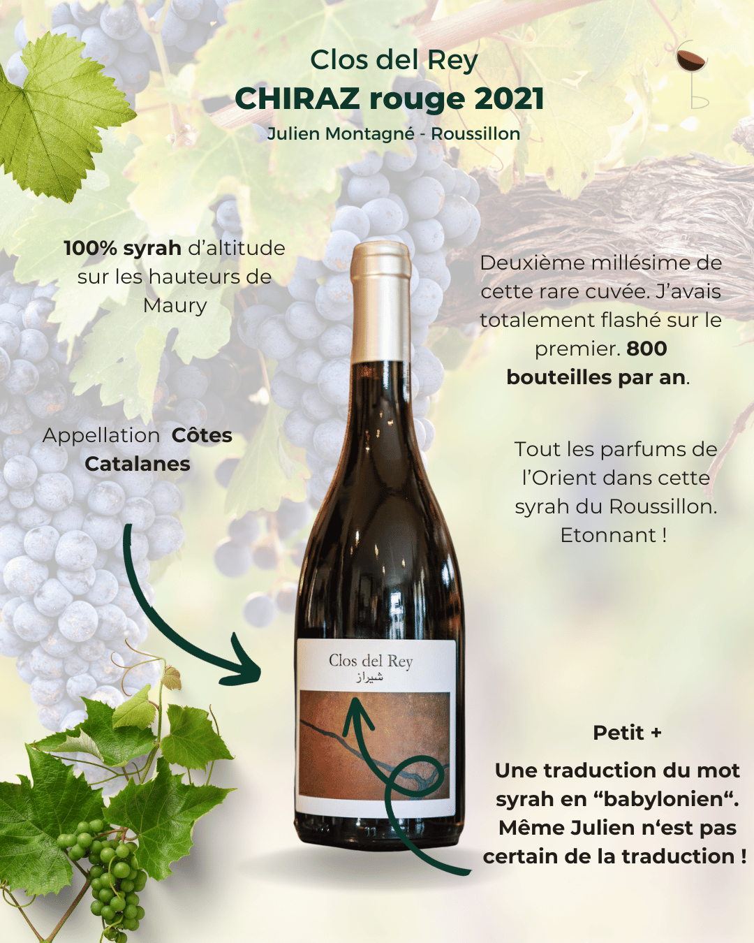 Clos del Rey Chiraz 2021 sur Cep de Table