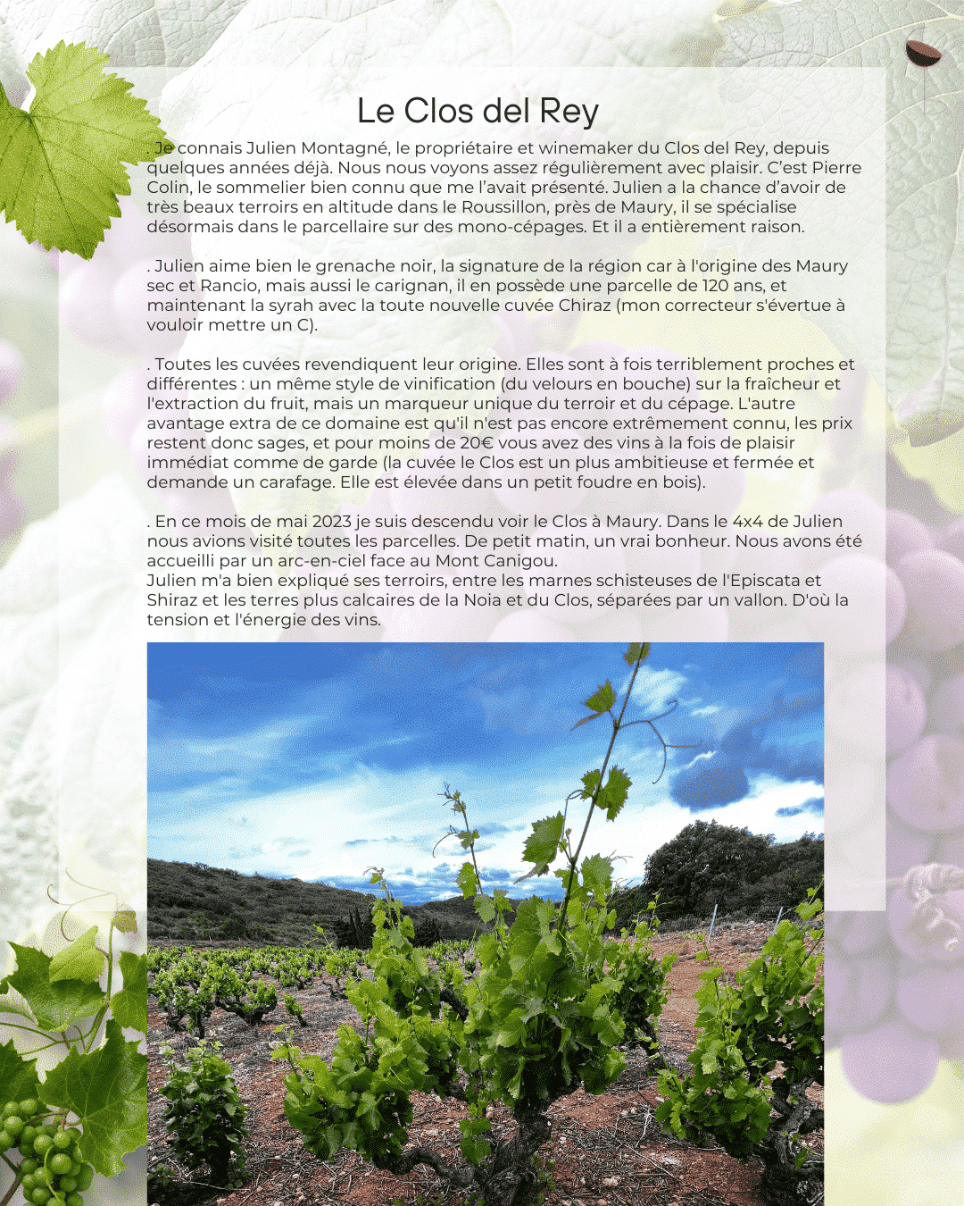 Clos del Rey Chiraz 2021 sur Cep de Table