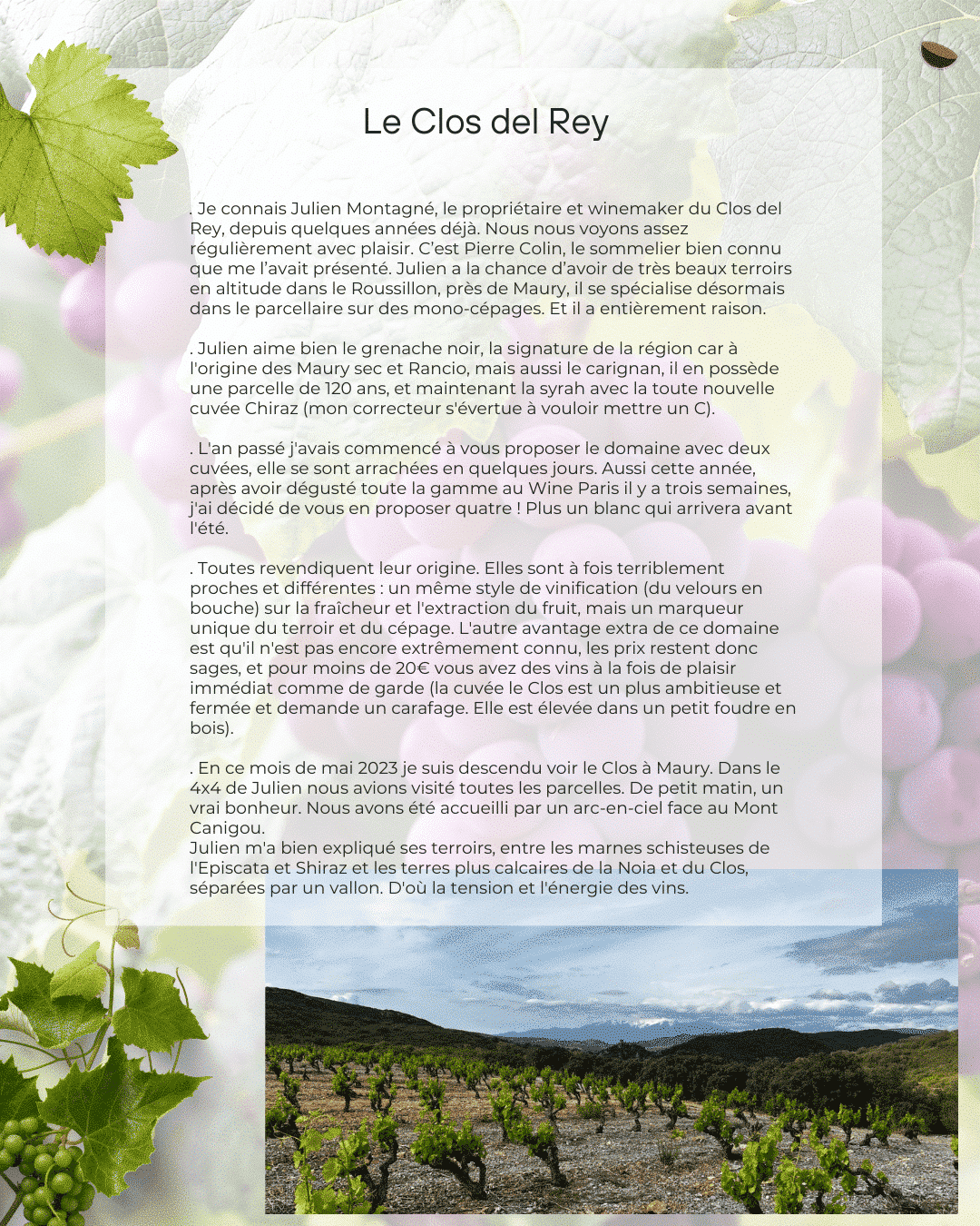 Clos del Rey LA NOIA Rouge 2021 sur Cep de Table