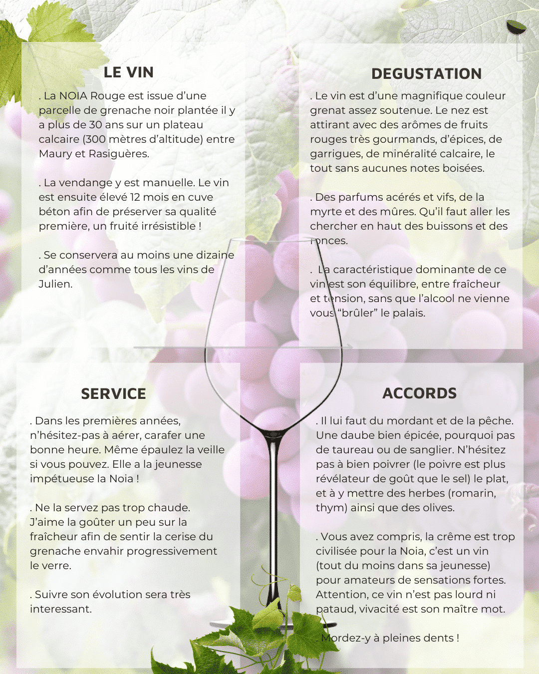 Clos del Rey LA NOIA Rouge 2021 sur Cep de Table